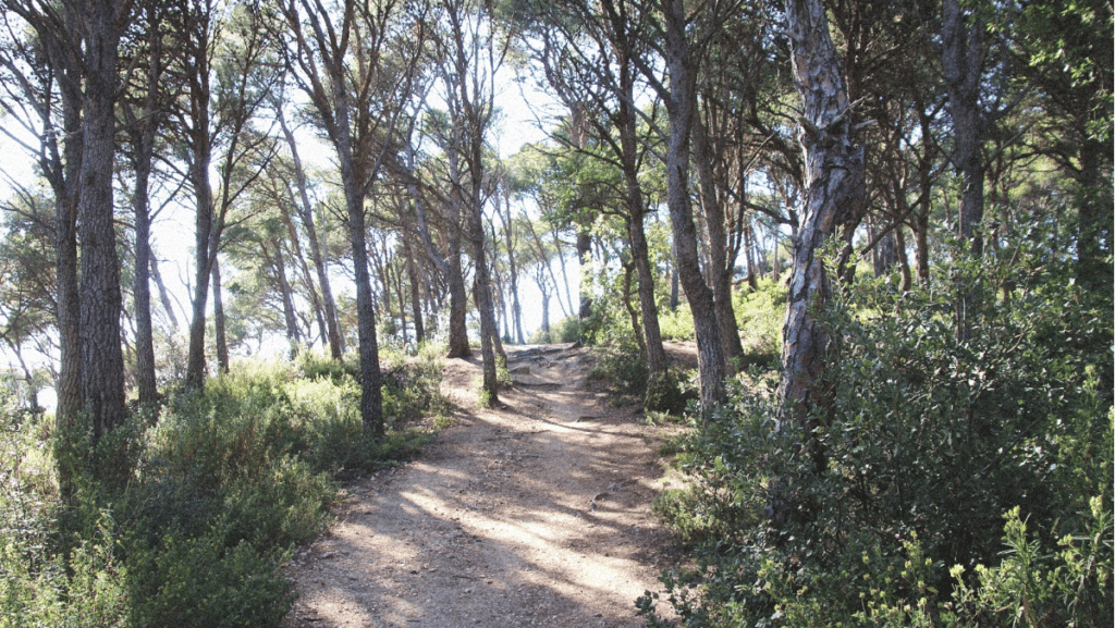 L'espace naturel de Castell-Cap Roig - Blog Costa Brava - Espagne ...